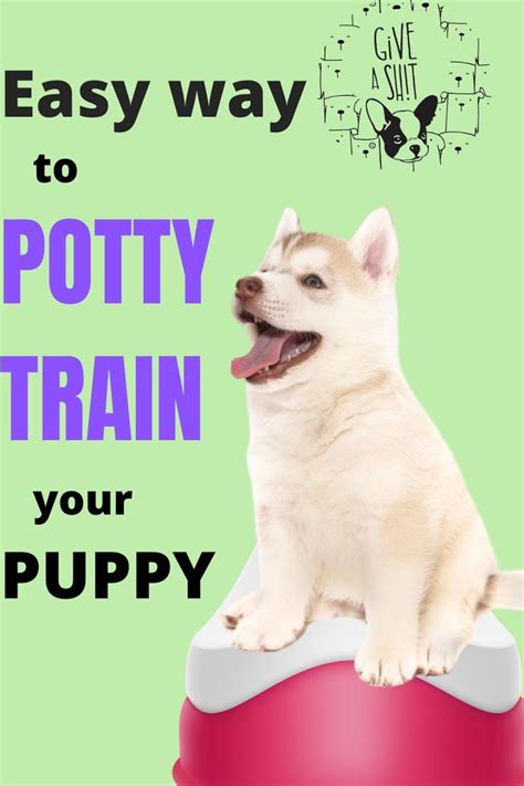 My top 9 tips to potty-train a puppy fast! The best easy way to house-training your dog! Potty ...