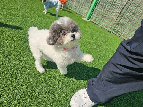♡ye Kongandmin Kong♡ Yemin Kong • Instagram Photos And Videos