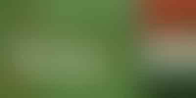 How To Sync Google Calendar With Google Sheets