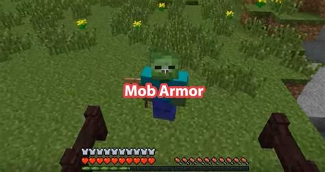 Mob Armor Mod 1 12 2 1 8 9