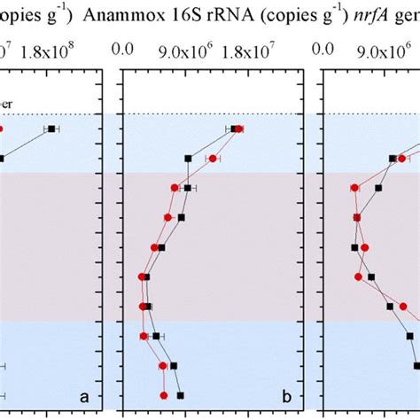 Xiaofei Li Professor Research Profile