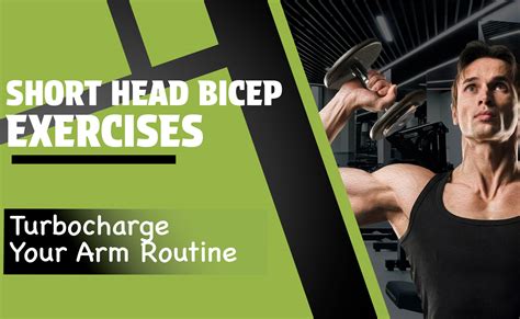 Short Head Bicep Exercises Blast Through Bicep Plateaus