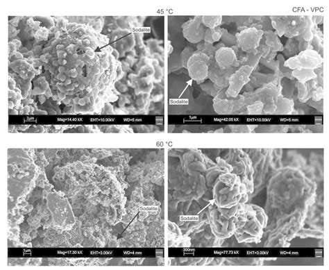 SEM Images Showing The Typical Rose Morphology Of Sodalite Crystals In