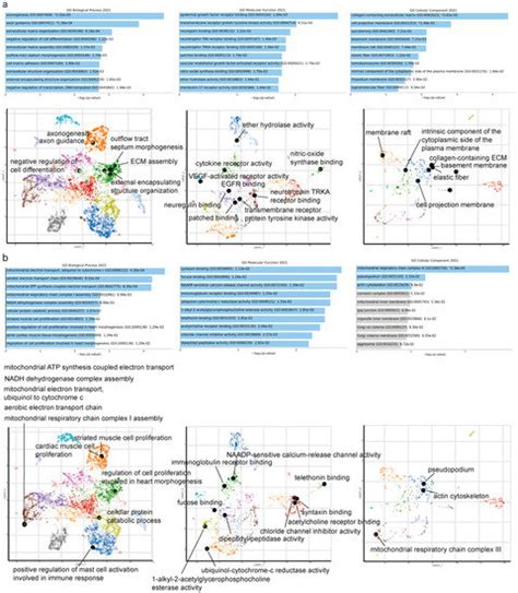 deregulated gene expression profiles and regulatory networks in adult