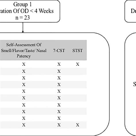 Flowchart Of The Procedure According To Group Classification Od Download Scientific Diagram