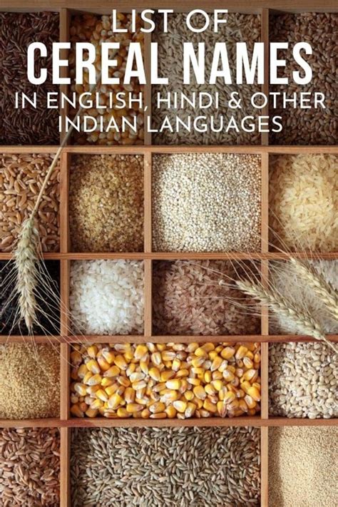 Cereals Names Names Of Grains In English Hindi Tamil Cereals List