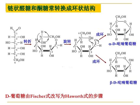 PPT 第五章 糖代谢 PowerPoint Presentation free download ID 4141700