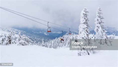 겨울 날에 안개에 눈과 회색 하늘 후 냉동 눈 덮인 전나무 숲 카르파티아 산맥 우크라이나 0명에 대한 스톡 사진 및 기타 이미지 Istock