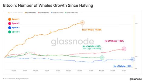 Bitcoin Whales Break A Pattern Held Throughout Halving Cycles Glassnode