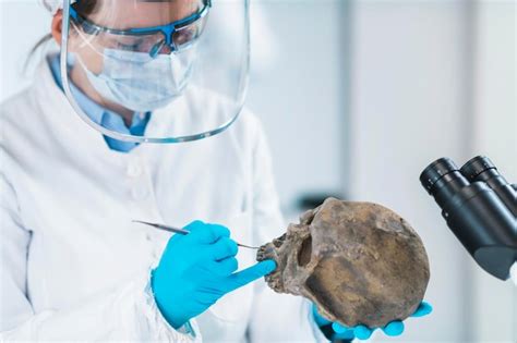 Premium Photo Ancient Dna Scientist Working In Bio Archaeology Lab
