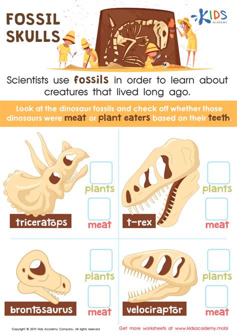 Fossil Worksheets Grade 2