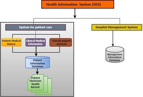Health Information System Download Scientific Diagram