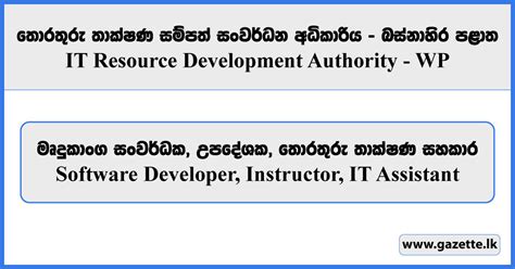 Software Developer Instructor It Assistant Information Technology