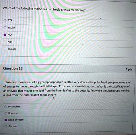 Which Of The Following Molecules Can Freely Cross Membrane Atp Insulin