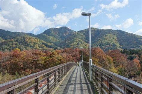 金石水管橋の紅葉 2024年の見頃と現在の色づき状況はアクセス方法は 歩いてみたブログ