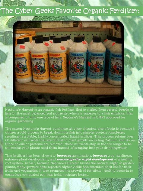Fertilize Organically Its Easy South Pleasantburg Nursery