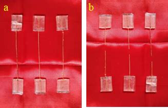 Samples Of Specimen A Before Tensile Test B After Tensile Test Download Scientific Diagram