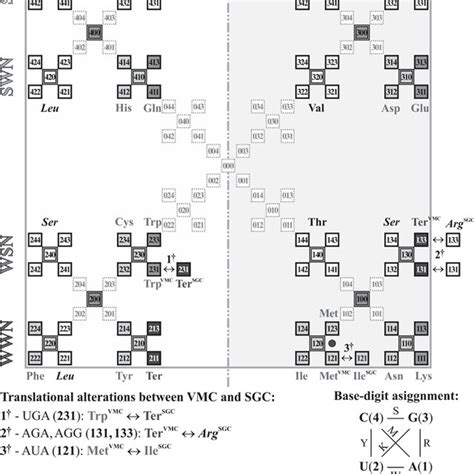 Euclidean Distance Representation Of The P Adic Model Of Vmc And Sgc Download Scientific