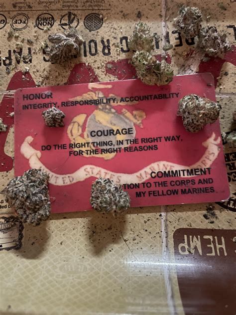 Who Still Has Their Honor Courage And Commitment Card R Usmc