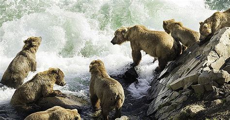 La Isla Kodiak El Secreto Mejor Guardado De Alaska