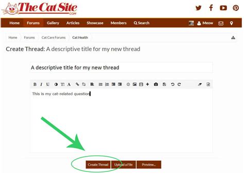 How To Create A New Thread Thecatsite