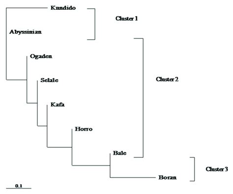 Unrooted Neighbor Joining Dendrogram Constructed From Slatkin S