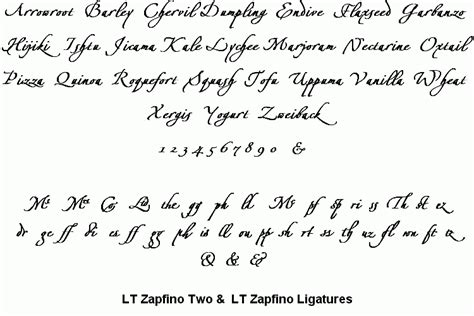 Bowfin Printworks Script Font Identification Elegant Elaborate Ornate Script Type Samples