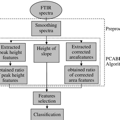 The Developed Features Extraction Algorithm For The Automated Screening