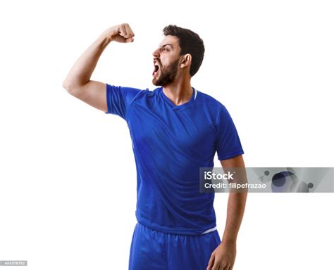 팬 흰색 바탕에는 축 하 하는 파란색 유니폼에 스포츠 선수 Championship에 대한 스톡 사진 및 기타 이미지 Championship 경쟁 국가 대표 Istock