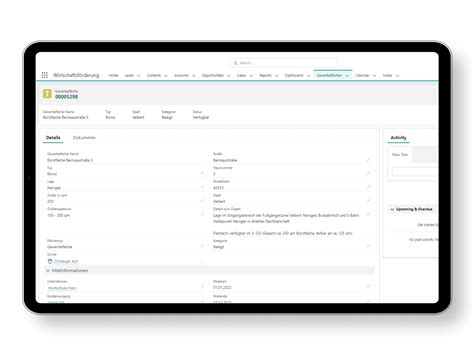 Salesforce Crm For Business Development