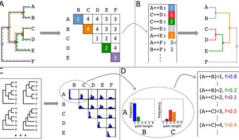 Aggregating Topological Features Across An Ensemble Of Topologies Using