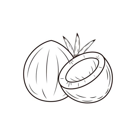 Coconut Line Drawing