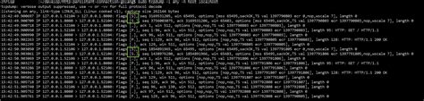 Understand How 1 1 Persistent Connection Works Based On Golang