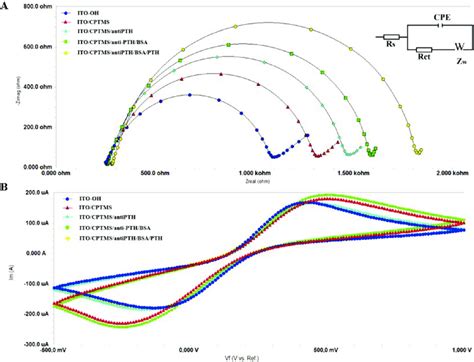 A Eis And Randles Equivalent Circuit Rs Ohmic Resistance Rct