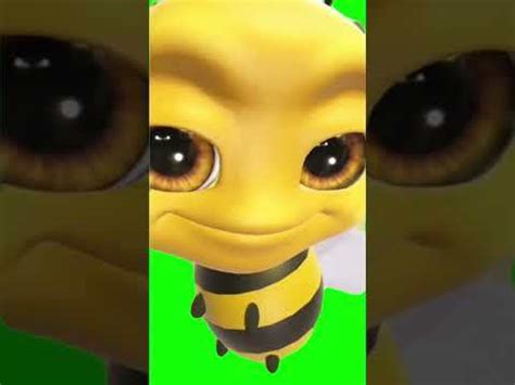 Top Green Screen Meme Videos Green Screen Memes