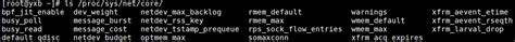 Linux Tcp内核参数设置与调优详细！为了支持 Tcp Bbr 拥塞控制算法在编译 Linux 内核时应该配置好哪一条内核选项 Csdn博客