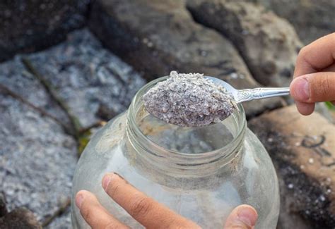 Wood Ash The Secret Weapon For Your Garden Or A Potential Disaster