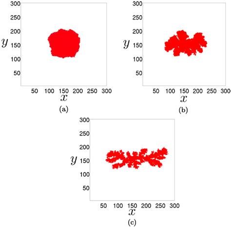 Three Tumors Grown By Iteration Of The Cellular Automaton A Grid Of N
