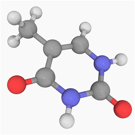 Thymine Molecule Photograph By Laguna Design Science Photo Library
