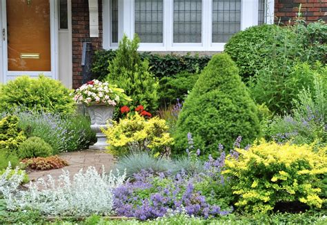 The New American Garden A Home Grown Garden Style The Tree Center™