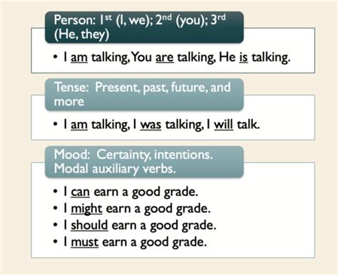 Types Of Verbs Flashcards Quizlet