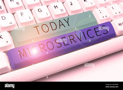 Text Sign Showing Microservices Business Overview Software Development Technique Building