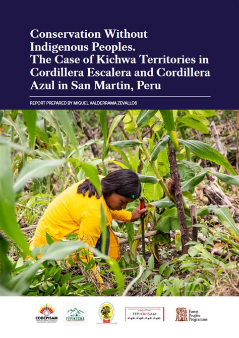 Nuevo Informe Revela Los Impactos En Los Derechos Humanos De Las áreas