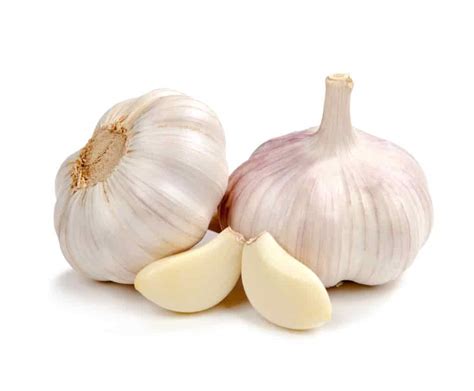 Organic Garlic Organic Village