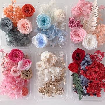 永生花干花材料包DIY相框贴画团扇浮游 团建活动花艺课手工花料包 阿里巴巴