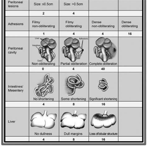 Application Of A Novel Fibrosis Adhesion Scoring System To Evaluate Download Scientific Diagram