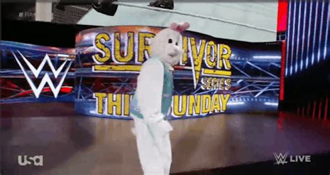 Adam Rose 