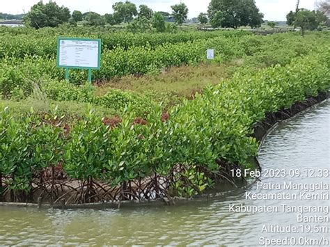 Monitoring Ecosystem Restoration And Forest Monitoring In Maintaining Or Increasing Carbon