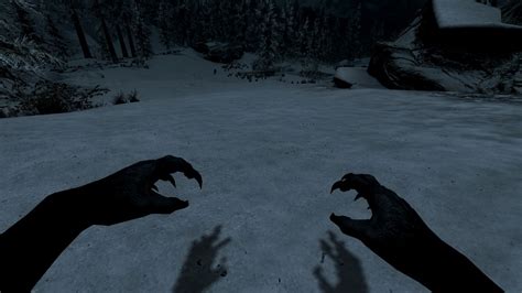 Skyrim Enhanced Camera イマージョン Skyrim Mod データベース Mod紹介・まとめサイト