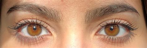 Amber Eyes In Natural Light Reyes